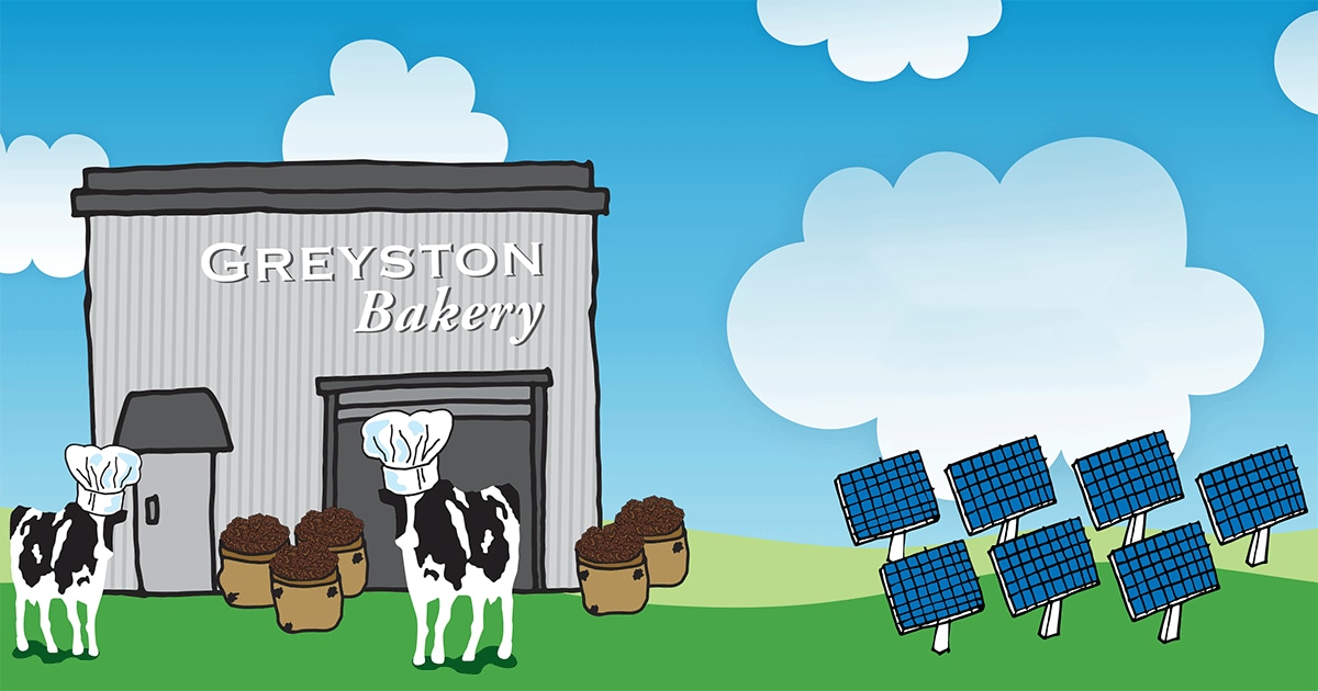 Greyston Bakery: verandert levens dankzij brownies | Ben & Jerry’s